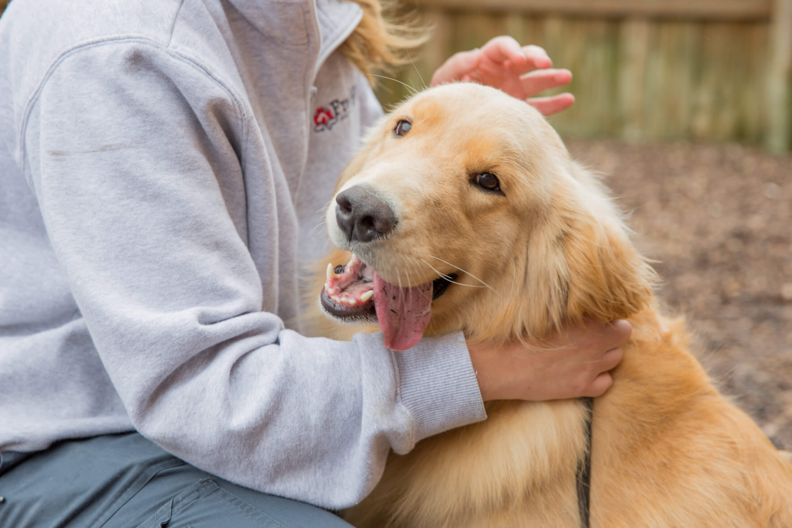 Veterinary Resource Videos | Catlett Animal Hospital