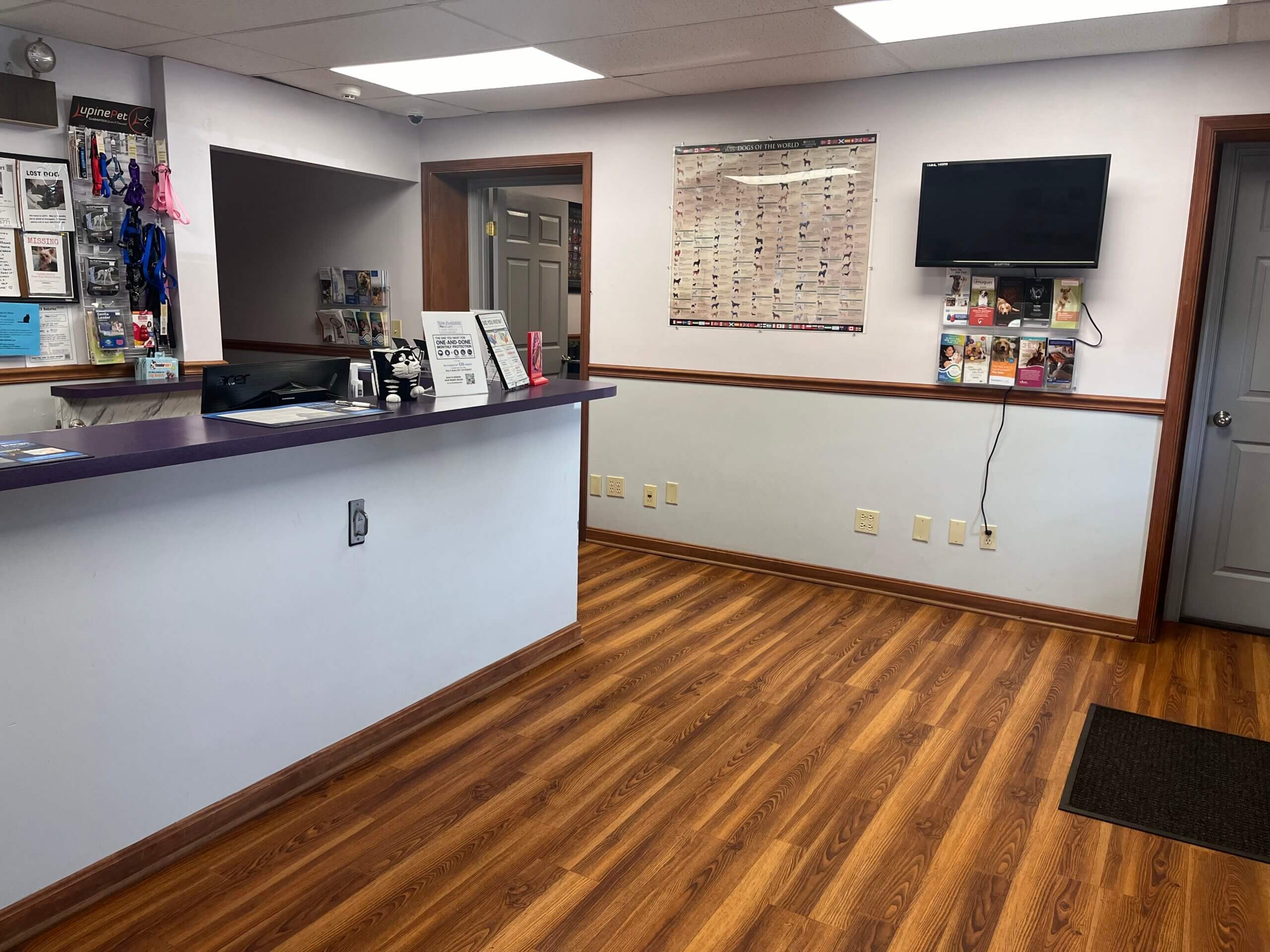 Your Trusted Virginia Veterinary Center - Catlett Animal Hospital